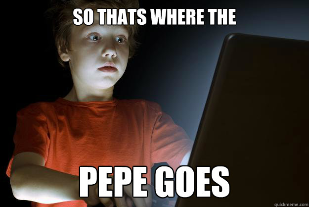 So thats where the Pepe Goes - First Internet Experience - quickmeme