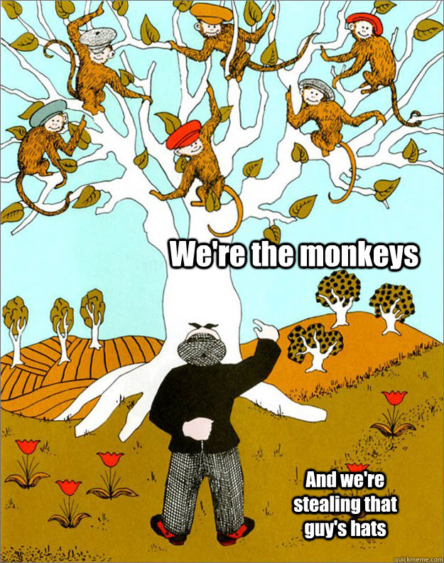 We're the monkeys And we're stealing that guy's hats - Misc - quickmeme