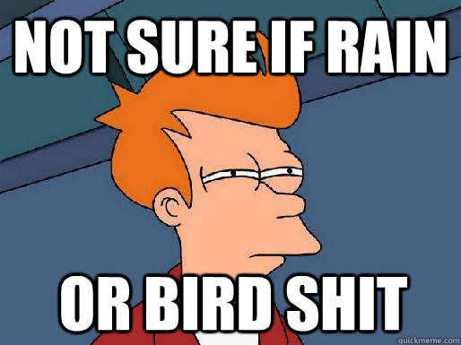 NOT SURE IF Rain or bird shit - FRY MEME FLOYD - quickmeme