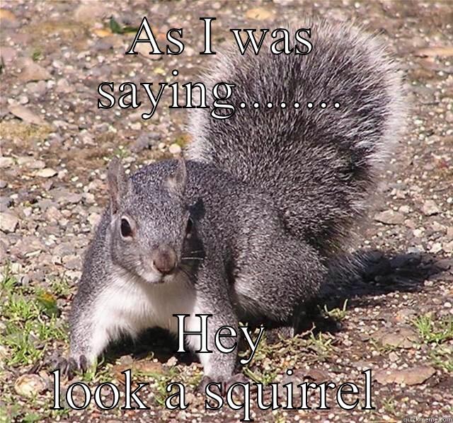 Omg squirrel - quickmeme