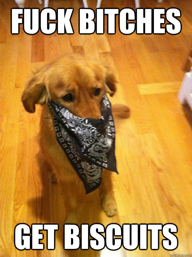 Fuck bitches Get biscuits - Misc - quickmeme