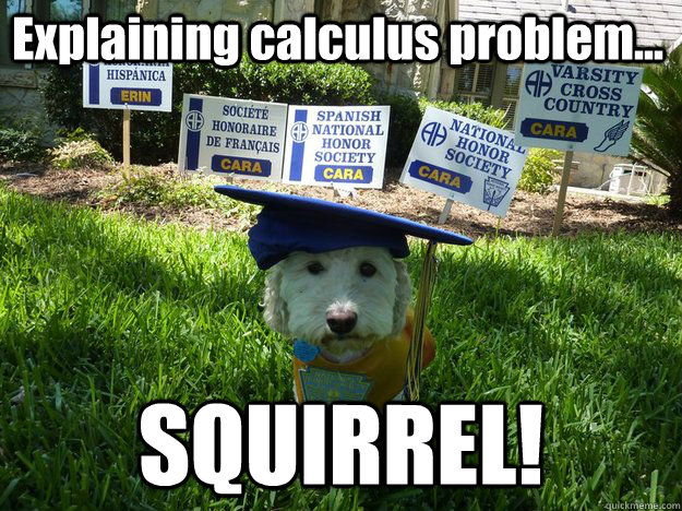 Explaining calculus problem... SQUIRREL! - Book Smart Dog - quickmeme