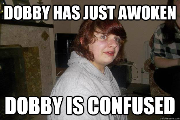 DOBBY HAS JUST AWOKEN DOBBY IS CONFUSED - dobbix - quickmeme