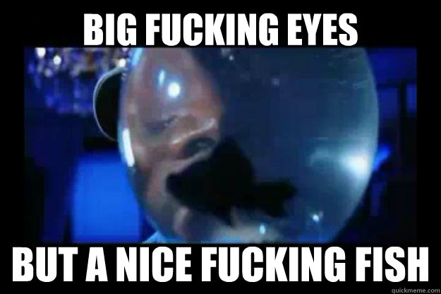 big fucking eyes but a nice fucking fish - Misc - quickmeme