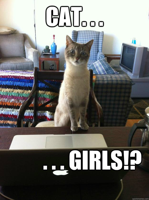 Cat˘. . . . . . girls!? - browser history cat - quickmeme