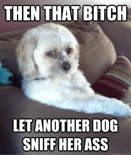 Then that bitch Let another dog sniff her ass - Misc - quickmeme