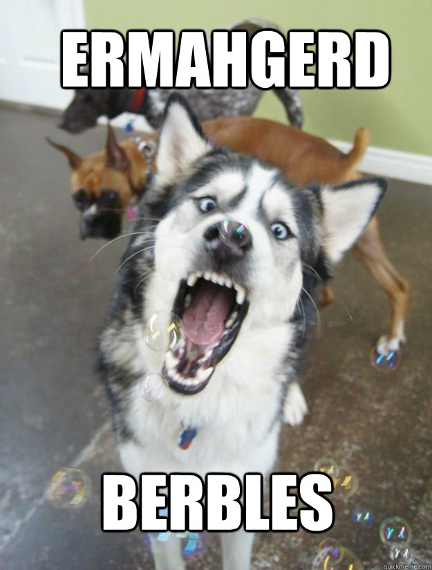 ermahgerd berbles - ermahgerd berbles - quickmeme