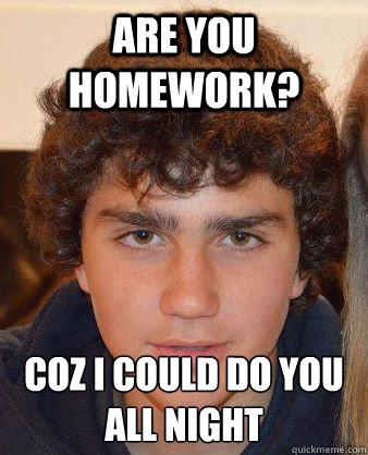 Are you homework? coz i could do you all night - Misc - quickmeme