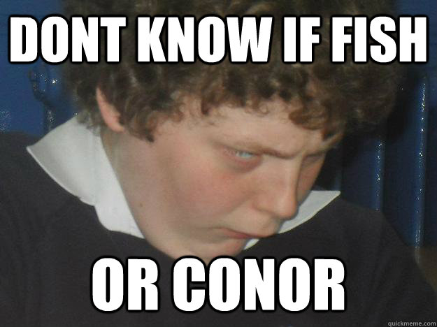dont know if fish or conor - Conor - quickmeme
