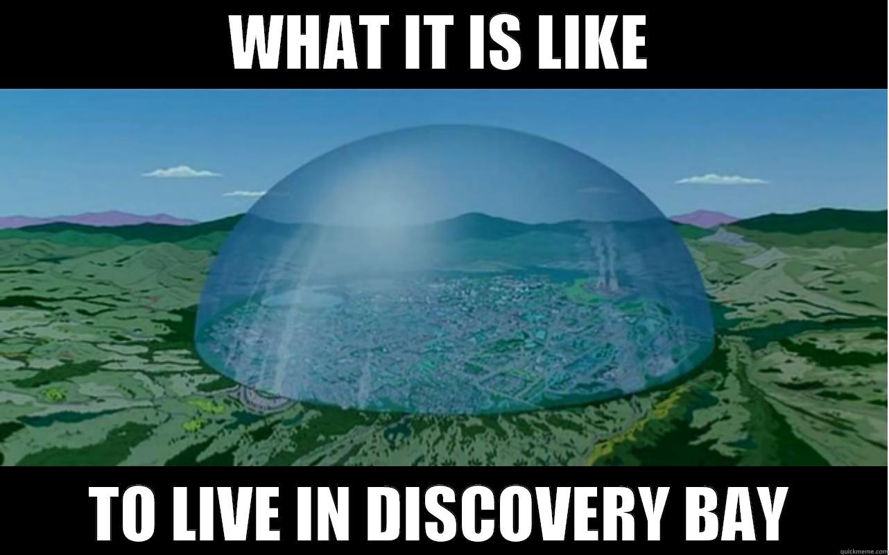 Discovery bay - quickmeme