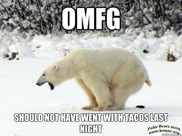 omfg should not have went with tacos last night - Worst Shit Polar Bear - quickmeme