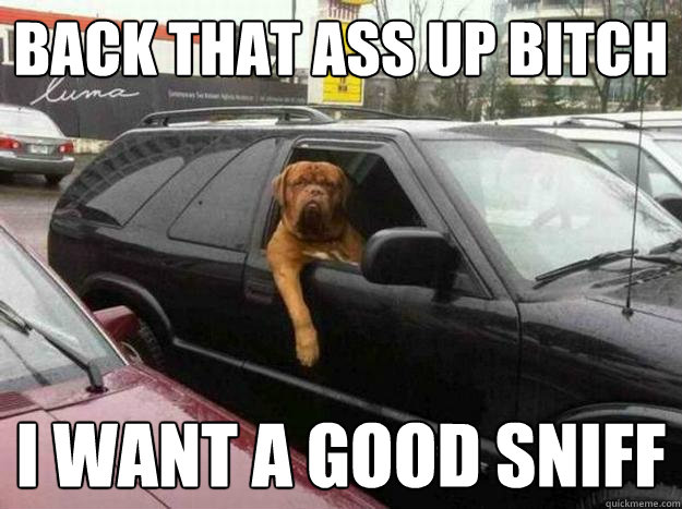 Back that ass up bitch i want a good sniff - Misc - quickmeme