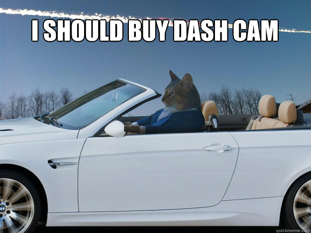 I should buy dash cam - Sophisticated Russian Cat - quickmeme