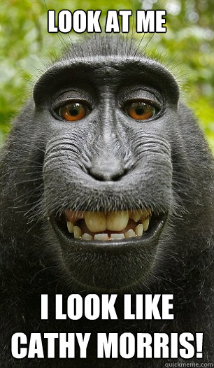 look at me I look like Cathy Morris! - Mindful Macaque - quickmeme