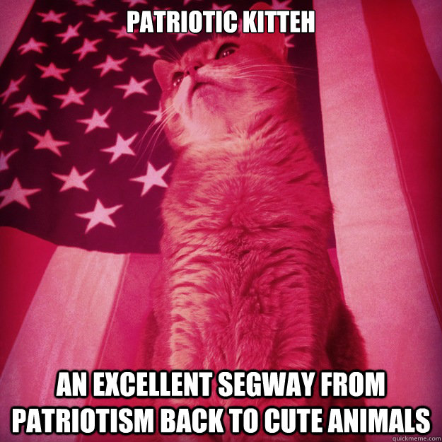 Patriotic Kitteh An Excellent Segway from Patriotism back to cute animals - Patriotism can be ...