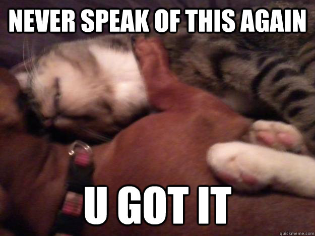 Never speak of this again U got it - never - quickmeme