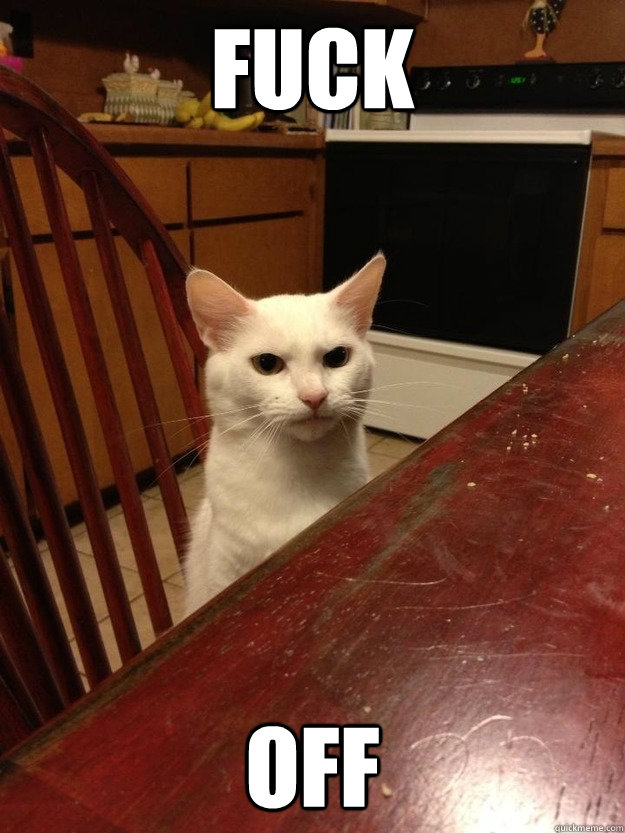 FUCK OFF - Straight talk cat - quickmeme