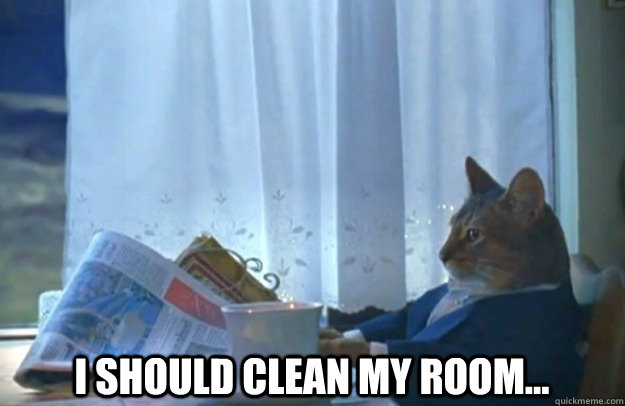 I should clean my room... - Sophisticated Cat - quickmeme