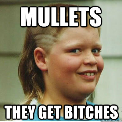 MUllets they get bitches - Misc - quickmeme