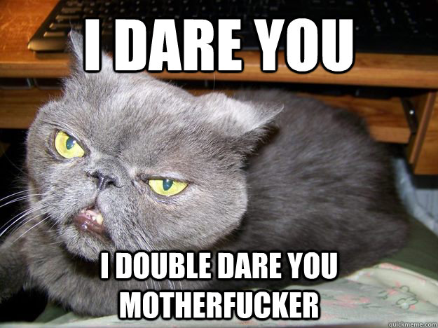 I dare you i double dare you motherfucker - Make Samuel L Catson a Meme - quickmeme
