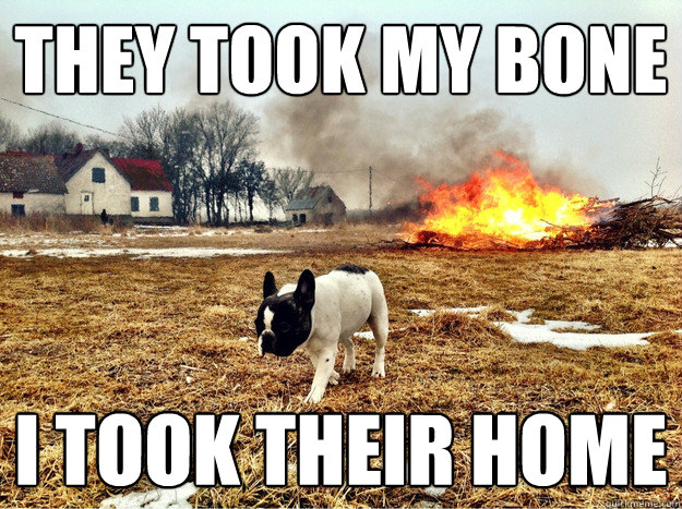 they took my bone I took their home - Misc - quickmeme