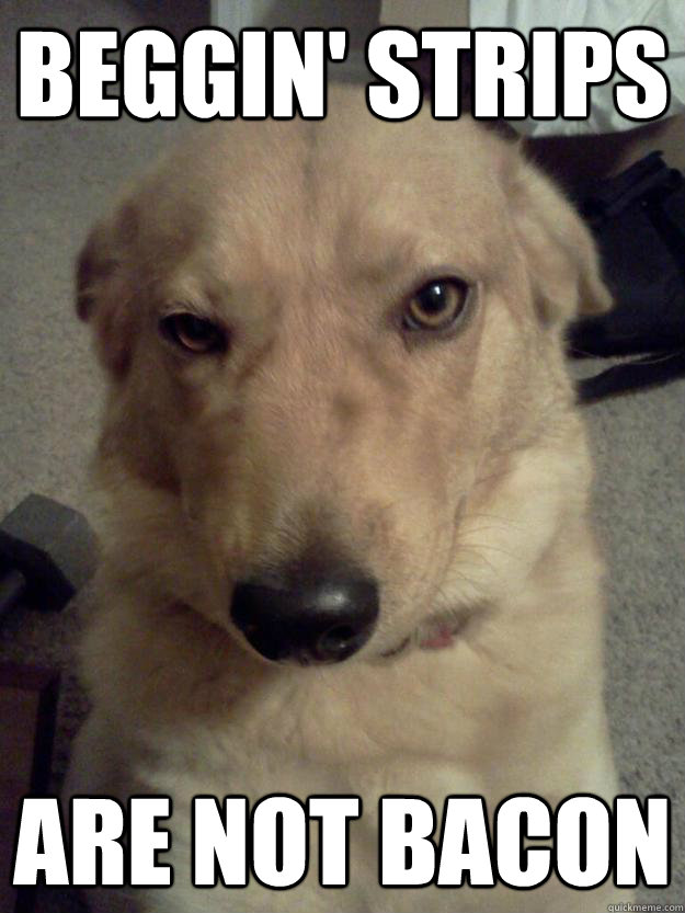 Beggin' Strips are not bacon - Cynical Dog - quickmeme