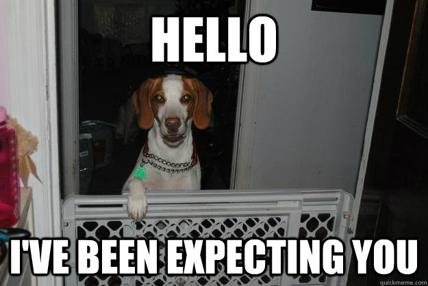 hello I've been expecting you - SinisterPuppy - quickmeme