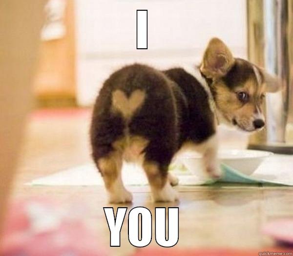 Corgi Butt - quickmeme