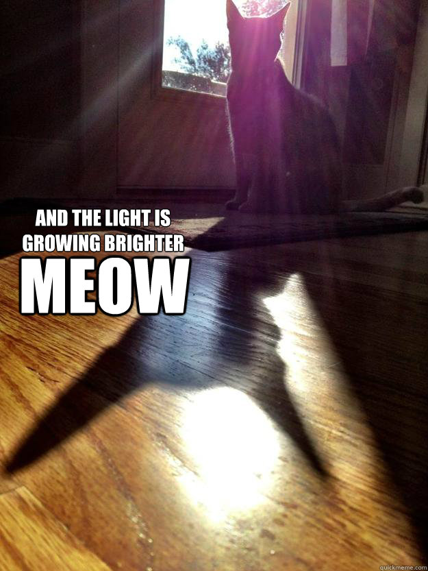AND THE LIGHT IS GROWING BRIGHTER MEOW - Phish Kitty - quickmeme