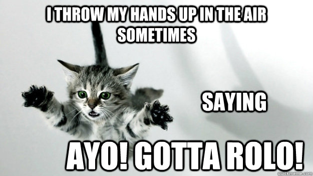 I throw my hands up in the air sometimes Ayo! gotta rolo! Saying - Rolo cat - quickmeme