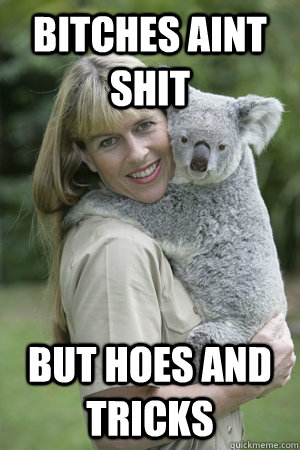 bitches aint shit But hoes and tricks - Pimp koala - quickmeme