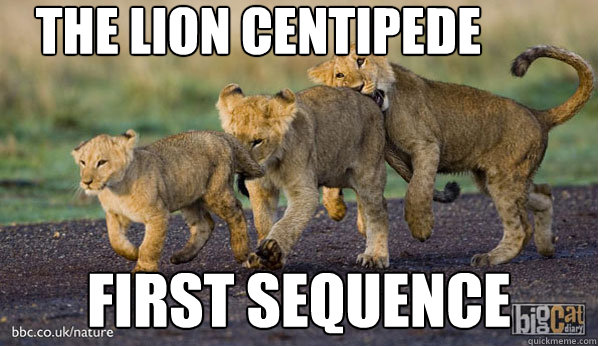 The lion centipede First Sequence - The Lion Centipede - quickmeme