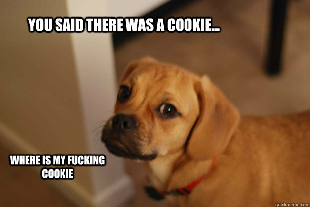 You Said there was a cookie... Where is my fucking cookie - Misc - quickmeme