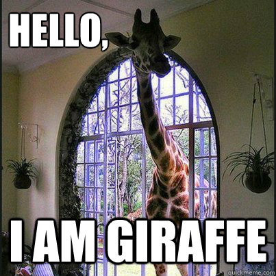 Hello, I am Giraffe - Curious Giraffe - quickmeme