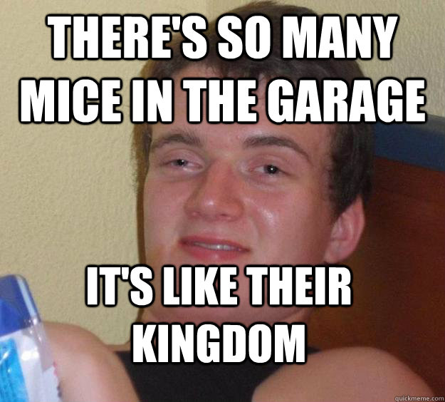 There's so many mice in the garage it's like their kingdom - Misc - quickmeme