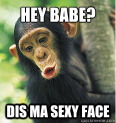 HEY BABE? Dis Ma Sexy Face - Misc - quickmeme