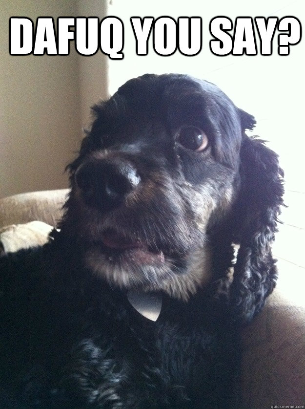 Dafuq you say? - Misc - quickmeme