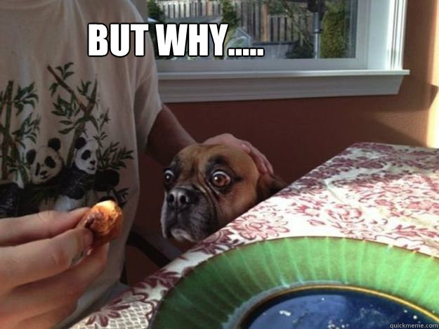 Tom Syndicate memes | quickmeme