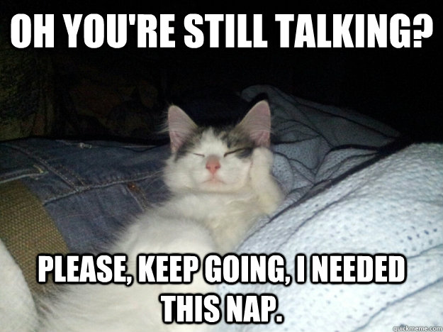 Oh you're still talking? Please, keep going, I needed this nap. - Condescending Kitteh Pwns ...