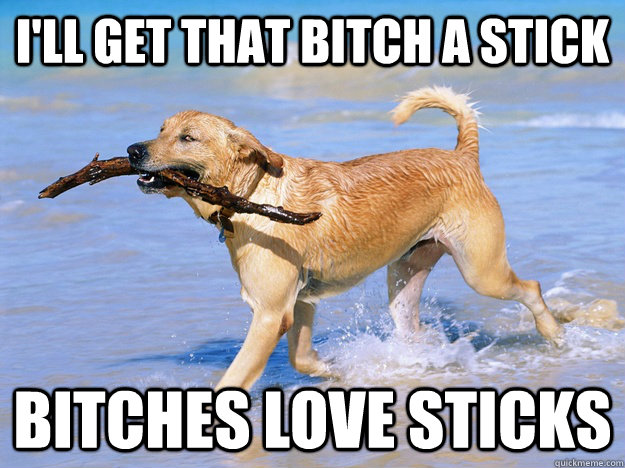 I'll get that bitch a stick Bitches love Sticks - Bitch Stick - quickmeme