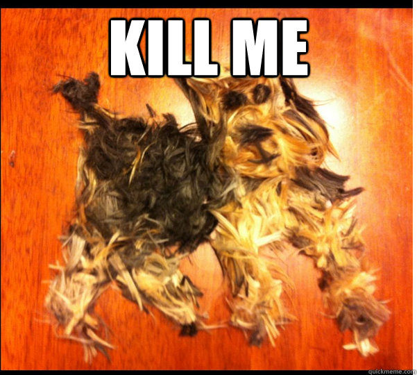 Kill me - Misc - quickmeme