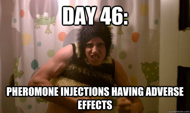 day 46: pheromone injections having adverse effects - Roid Rage Bumble Bee - quickmeme