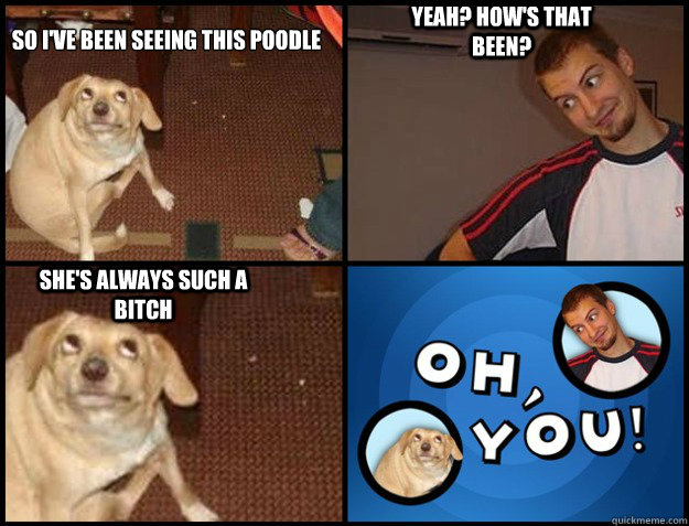 SO I'VE BEEN SEEING THIS POODLE YEAH? HOW'S THAT BEEN? SHE'S ALWAYS SUCH A BITCH - Oh you ...