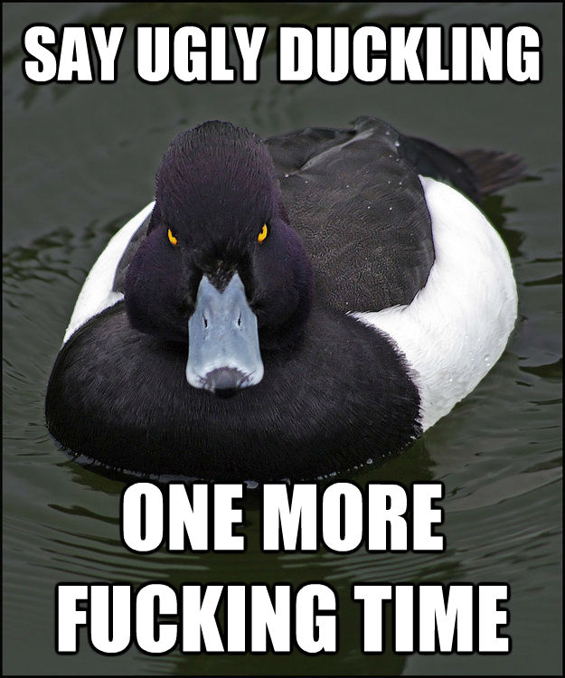 SAY UGLY DUCKLING ONE MORE FUCKING TIME - Angry Advice Duck - quickmeme