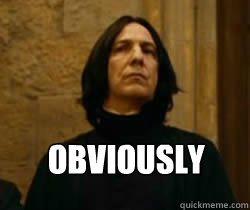 OBVIOUSLY - Misc - quickmeme