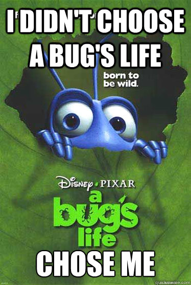 i didn't choose a bug's life chose me - Misc - quickmeme