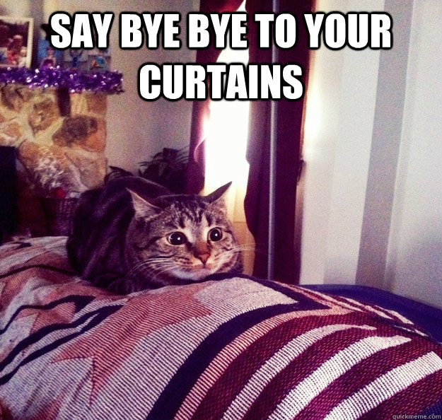 say bye bye to your curtains - up to something cat - quickmeme