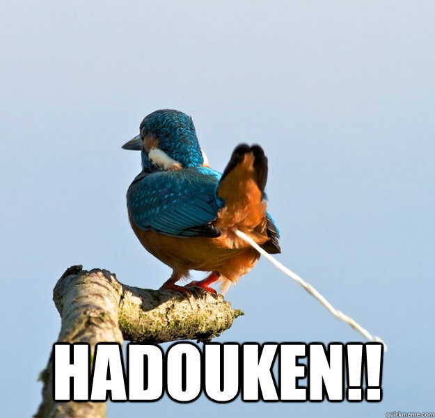 Hadouken!! - Pooping bird - quickmeme