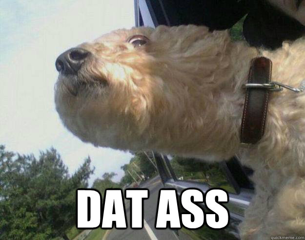 doggy dat ass memes | quickmeme