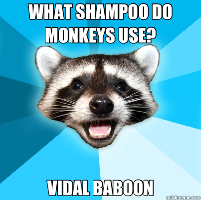 WHAT SHAMPOO DO MONKEYS USE? VIDAL BABOON - Lame Pun Coon - quickmeme